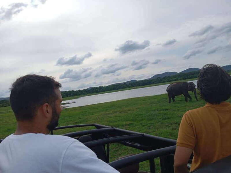From Sigiriya: Minneriya National Park Half-Day Jeep Safari - The Sum Up: The Right Choice for Wildlife & Convenience
