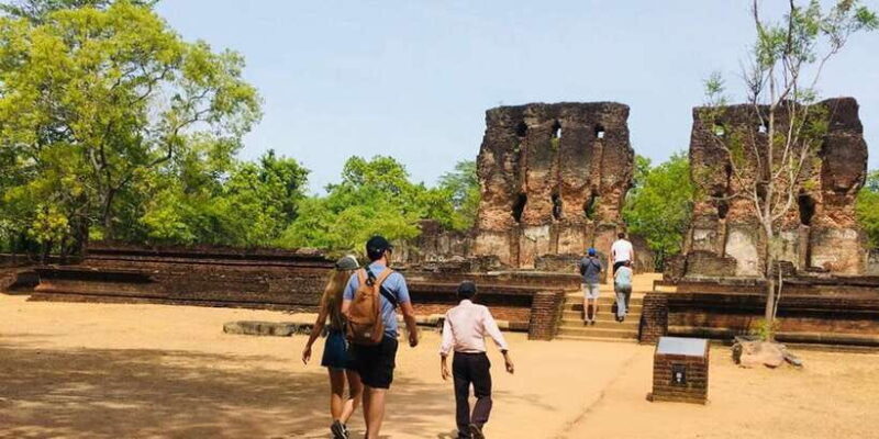 From Sigiriya: Polonnaruwa Ancient City & Minneriya Safari - Overview of the Tour Experience