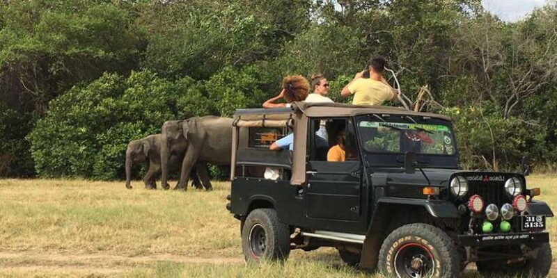 From Sigiriya: Polonnaruwa Ancient City & Minneriya Safari - Who Will Love This Tour?