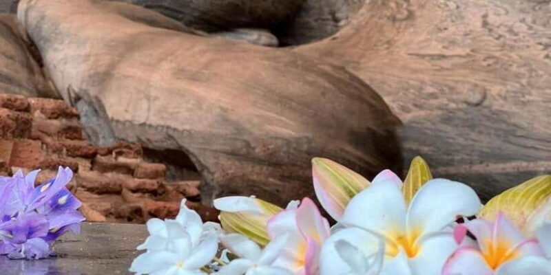 From Sigiriya :Polonnaruwa Ancient City Tour/Day Tour - Final Thoughts: Is It Worth It?