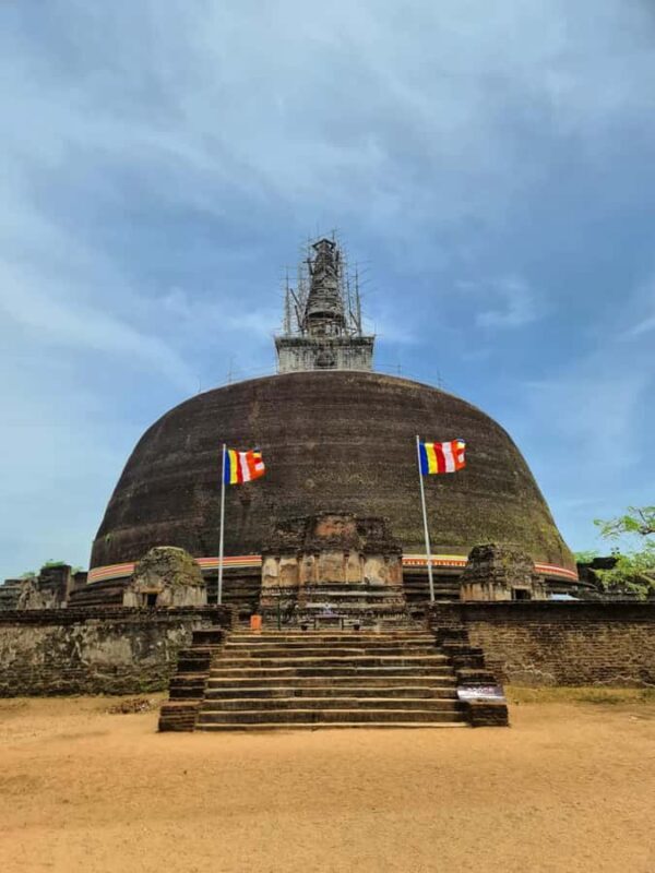 From Sigiriya: Polonnaruwa Day Tour with Minneriya Safari - Who Should Consider This Tour?