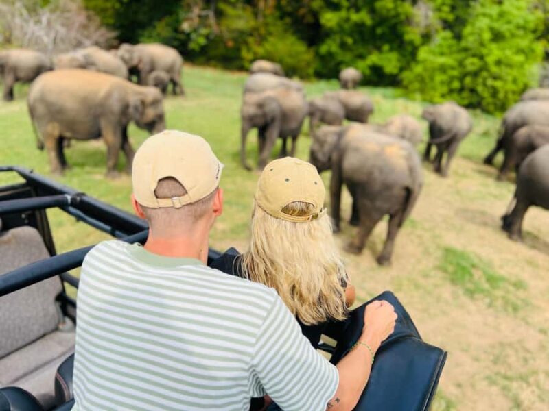 From Sigiriya: Polonnaruwa Day Tour with Minneriya Safari - FAQ