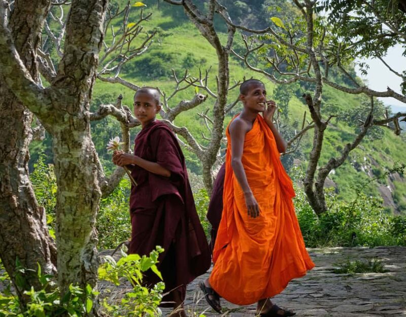 From Sigiriya: Sigiriya and Dambulla Day Tour - The Sum Up