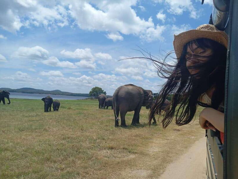 From Sigiriya: Sigiriya Lion Rock and Minneriya Jeep Safari - Authentic Experiences and Traveler Feedback