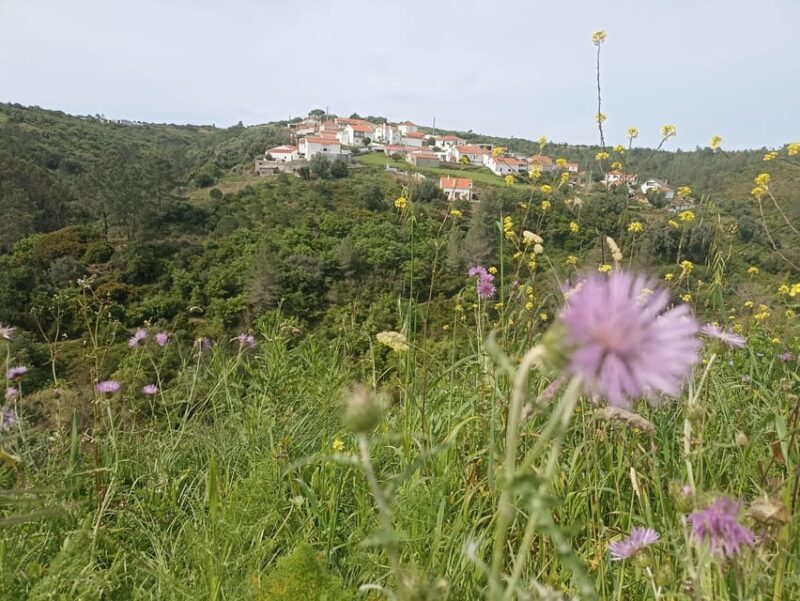 From Sintra, Mafra, or Ericeira: Hike and Wine Tour - An In-Depth Look at the Experience