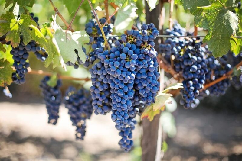 From Siracusa Day Tour To Etna Volcano, Winery and Taormina - Authentic Experiences and What You’ll Take Away