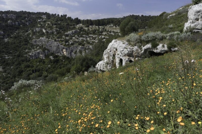 From Siracusa: Pantalica Nature Reserve Guided Hiking Tour - Key Points