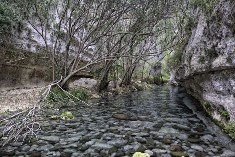From Siracusa: Pantalica Nature Reserve Guided Hiking Tour - The Guide and the Experience