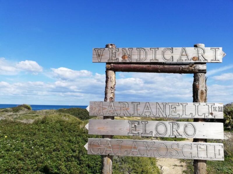 From Siracusa: Vendicari Nature Reserve Guided Tour - The Experience: What to Expect