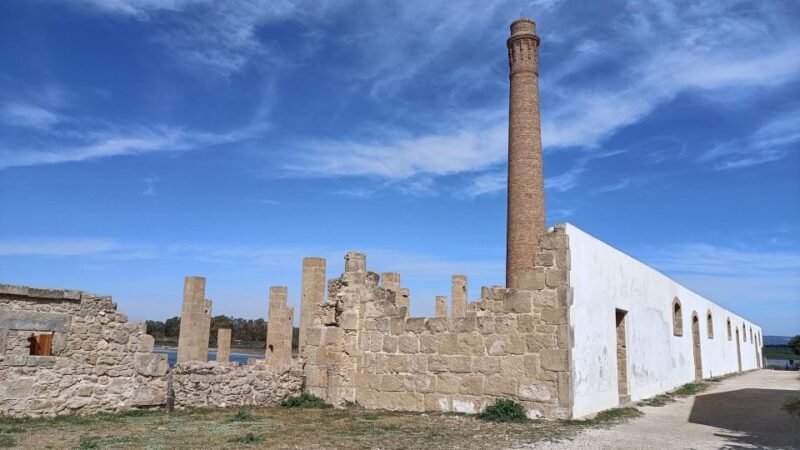 From Siracusa: Vendicari Nature Reserve Guided Tour - Who Will Love This Tour?