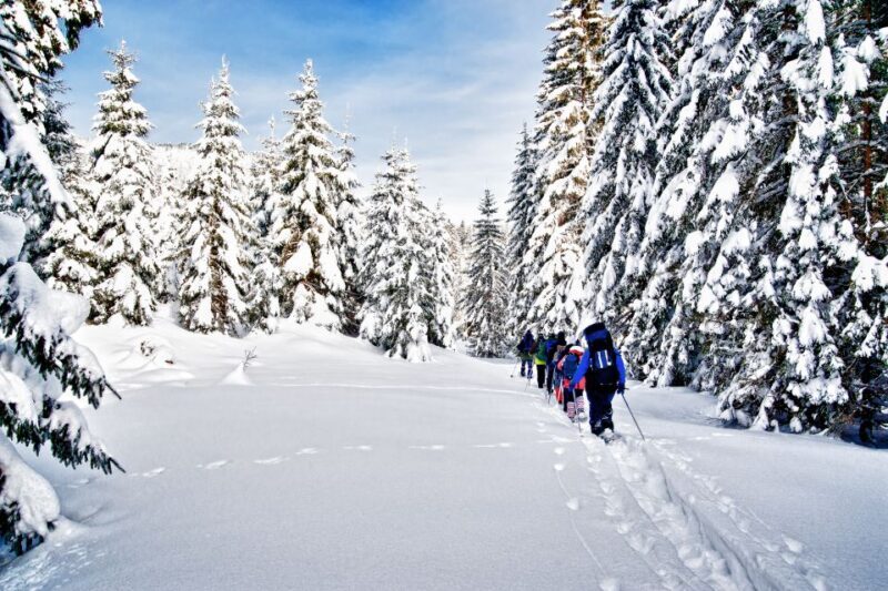 From Sirkka: Levi Summit Guided Nature Snowshoeing Tour - Key Points