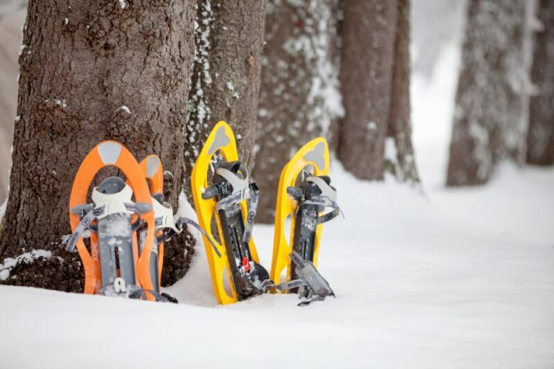 From Sirkka: Levi Summit Guided Nature Snowshoeing Tour - Who Is This Tour Best Suited For?