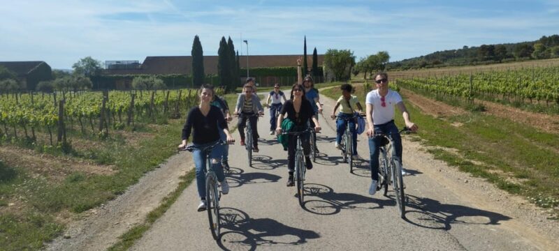 From Sitges: Cycling Tour with Winery visit and Tasting - The Itinerary in Detail