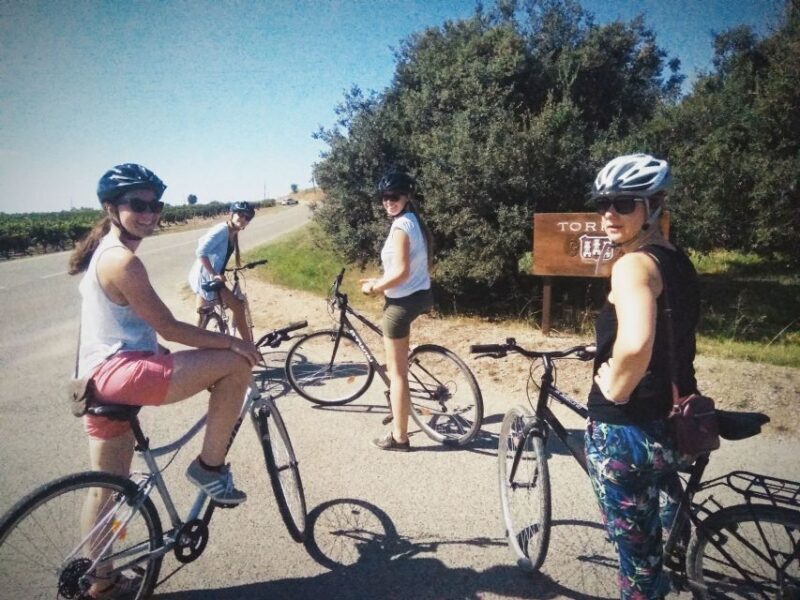 From Sitges: Cycling Tour with Winery visit and Tasting - What Reviews Tell Us