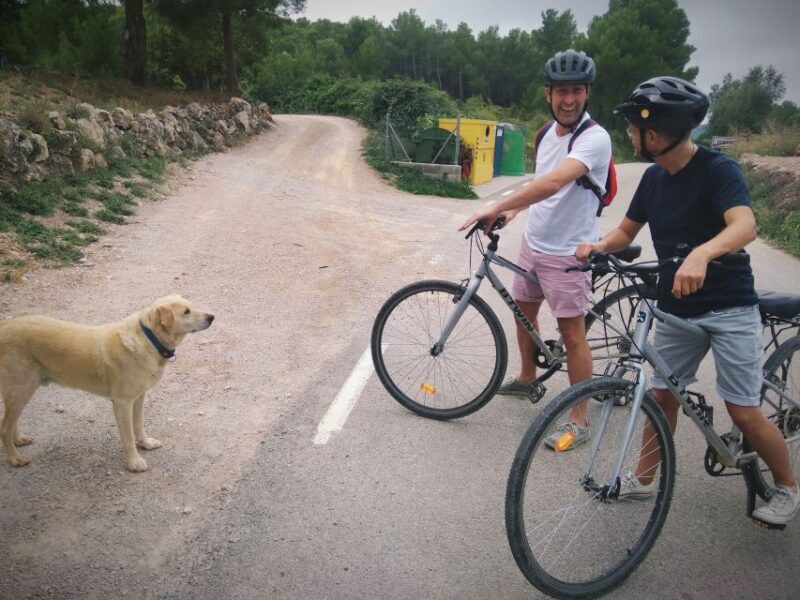 From Sitges: Cycling Tour with Winery visit and Tasting - The Sum Up: Is It Worth It?