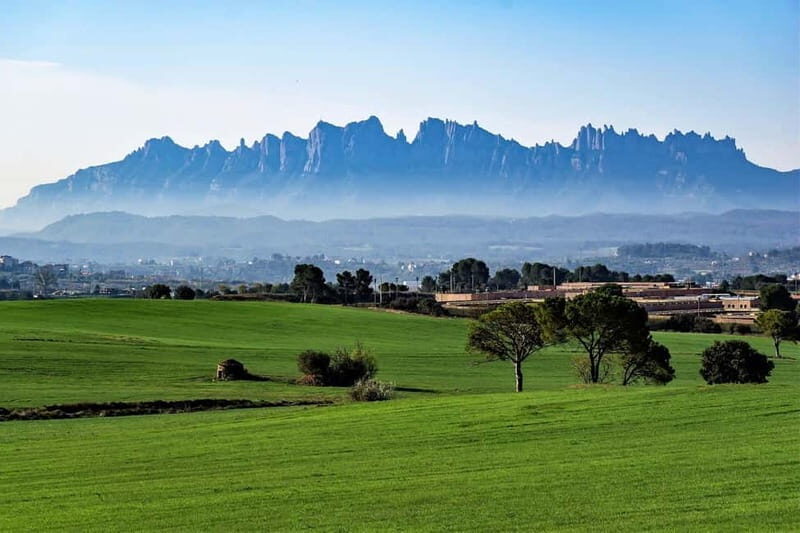 From Sitges: Montserrat, Lunch and Winery with Hotel Pick Up - A Catalan Feast in Penedès