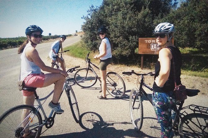 From Sitges: Wine and Bike Tour with hotel pick up. - Authentic Stories and Learning