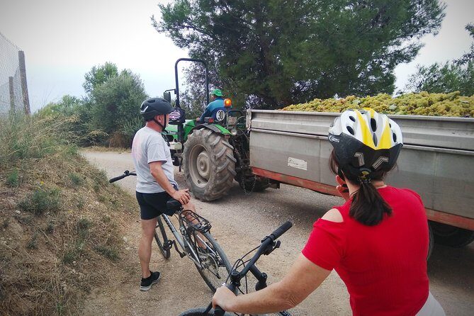From Sitges: Wine and Bike Tour with hotel pick up. - The Return and Additional Stops