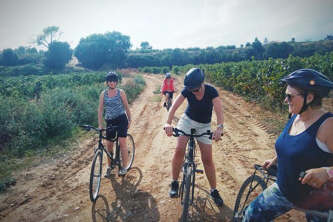 From Sitges: Wine and Bike Tour with hotel pick up. - The End of the Tour — Cava Tasting and Reflection