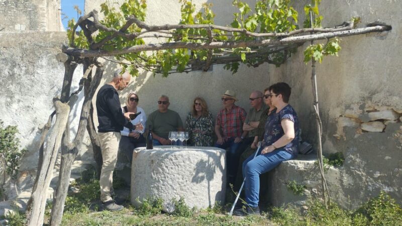 From Sitges: Wine Tasting at 2 Wineries, Snacks and Pickup - A Closer Look at the Sitges Wine Tasting Tour