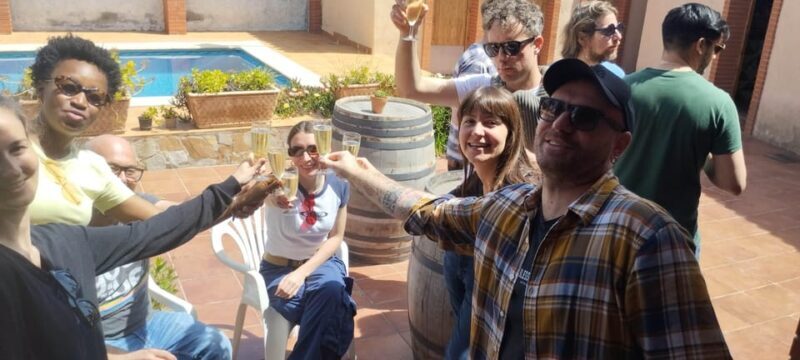 From Sitges: Wine Tasting at 2 Wineries, Snacks and Pickup - Authentic Perspectives from Past Travelers
