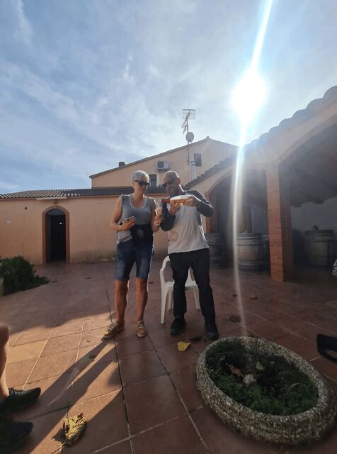 From Sitges: Wine Tasting at 2 Wineries, Snacks and Pickup - The Sum Up: Is This Tour Right for You?