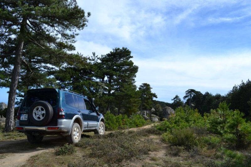 From Sithonia: Private 4x4 Off-Road Safari in Halkidiki - The Sum Up