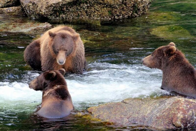 From Sitka: All inclusive Private Yacht Cruise of SE Alaska - Key Points