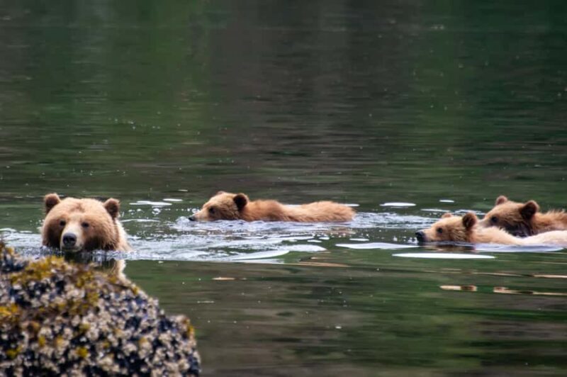 From Sitka: All inclusive Private Yacht Cruise of SE Alaska - The Sum Up