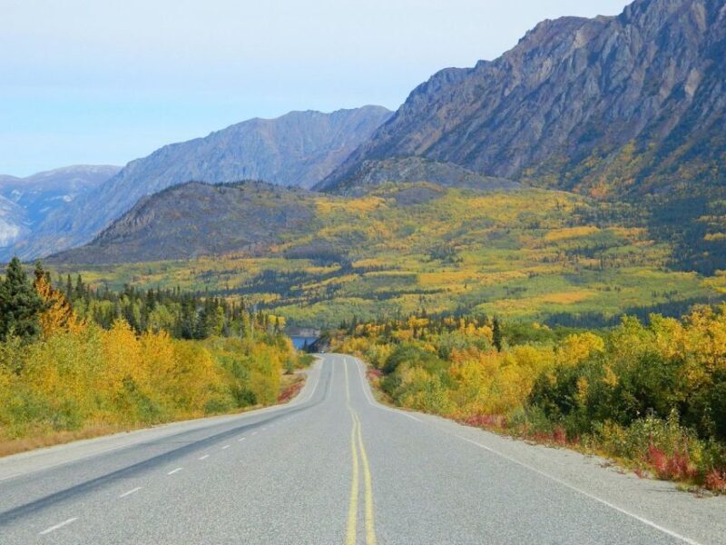 From Skagway: Skagway City & White Pass Summit Guided Tour - An In-Depth Look at the Tour Experience