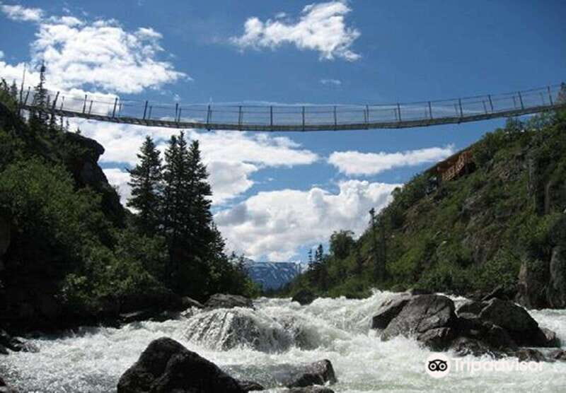 From Skagway: White Pass and Yukon Suspension Bridge Tour - The Sum Up: Your Perfect Day Trip from Skagway