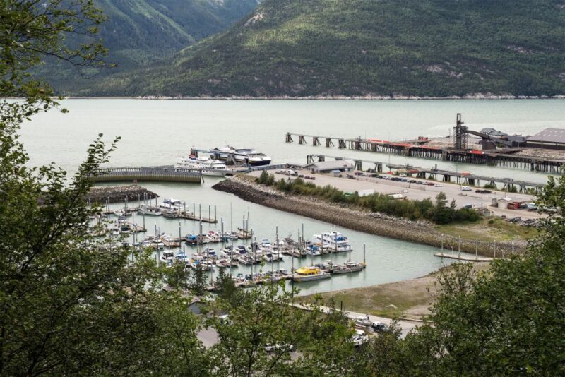 From Skagway: White Pass Summit Guided Bus Tour - Final Thoughts