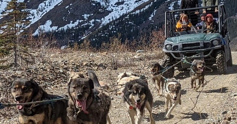 From Skagway: Yukon Sled Dog Mushing & White Pass Combo - From Skagway: Yukon Sled Dog Mushing & White Pass Combo — An Adventurous Day Out