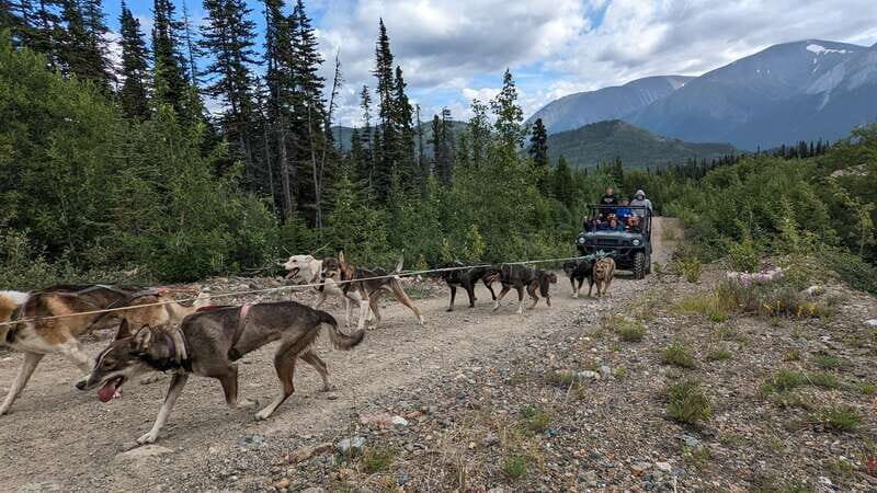 From Skagway: Yukon Sled Dog Mushing & White Pass Combo - Final Thoughts on the Tour’s Value