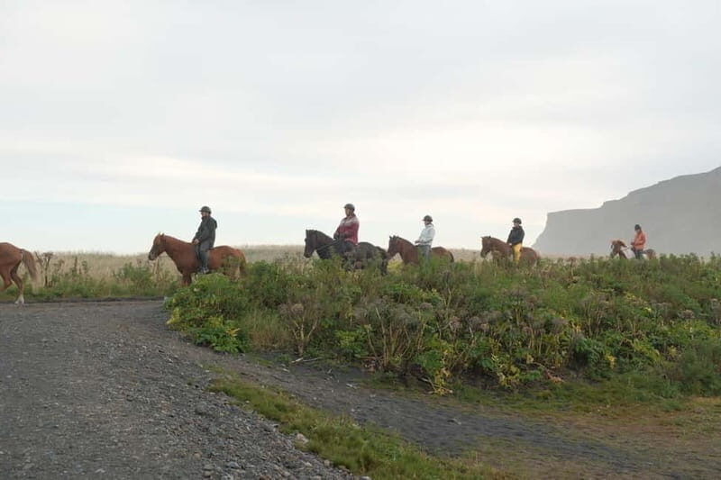 From Skarfabakki: South Coast Tour w/ Solheimajokull Glacier - Who Will Love This Tour?