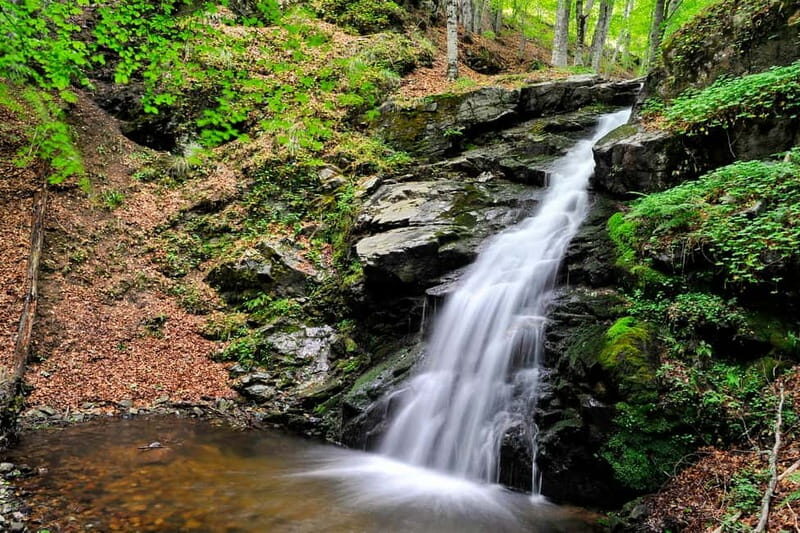 From Skopje: Berovo Full Day Tour and Hike - Key Points