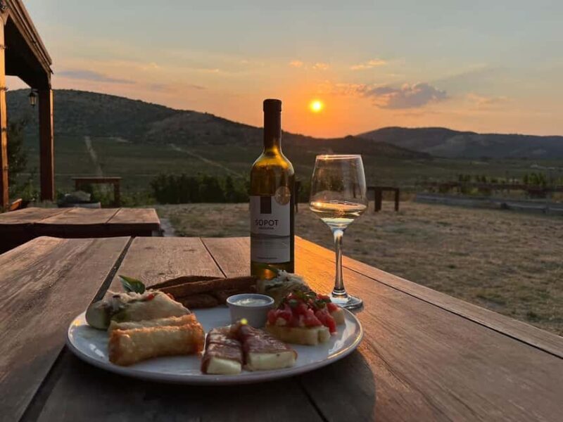 From Skopje: Lazar & Chateau Sopot Wineries Visit & Tastings - What to Expect from This Full-Day Wineries Tour