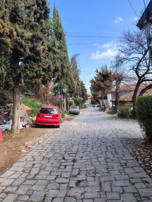From Skopje: Ohrid Full-Day Trip with Guided Walking Tour - Transport, Timing, and Group Dynamics