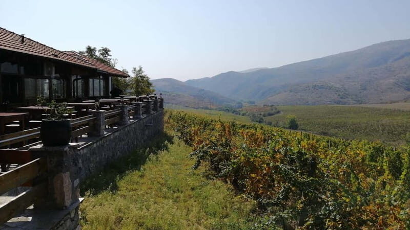 From Skopje: Private Tour of Sopot Winery with Lunch - Practical Tips for Travelers