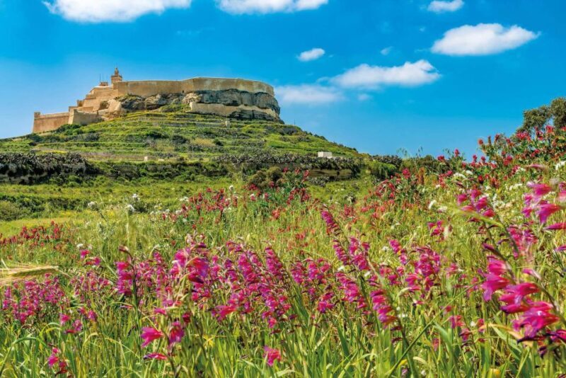 From Sliema: Gozo, Comino & The Blue Lagoon Boat & Bus Tour - FAQ