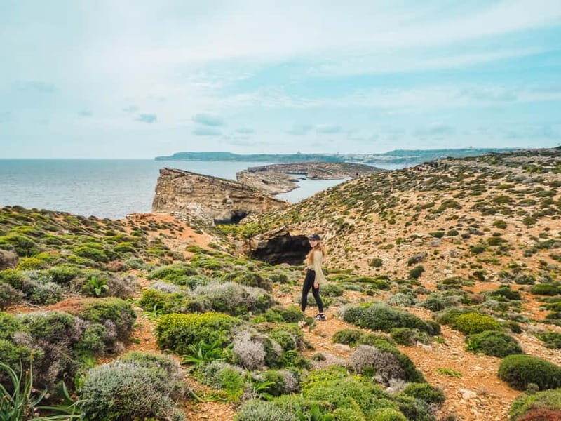 From Sliema: Round Malta Cruise with Lunch and Transfers - Who Will Enjoy This Tour?