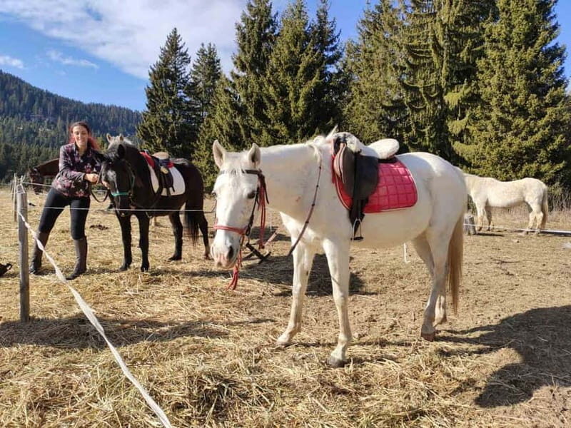 From Smolyan: Waterfalls Canyon Horseback Riding Tour - Key Points