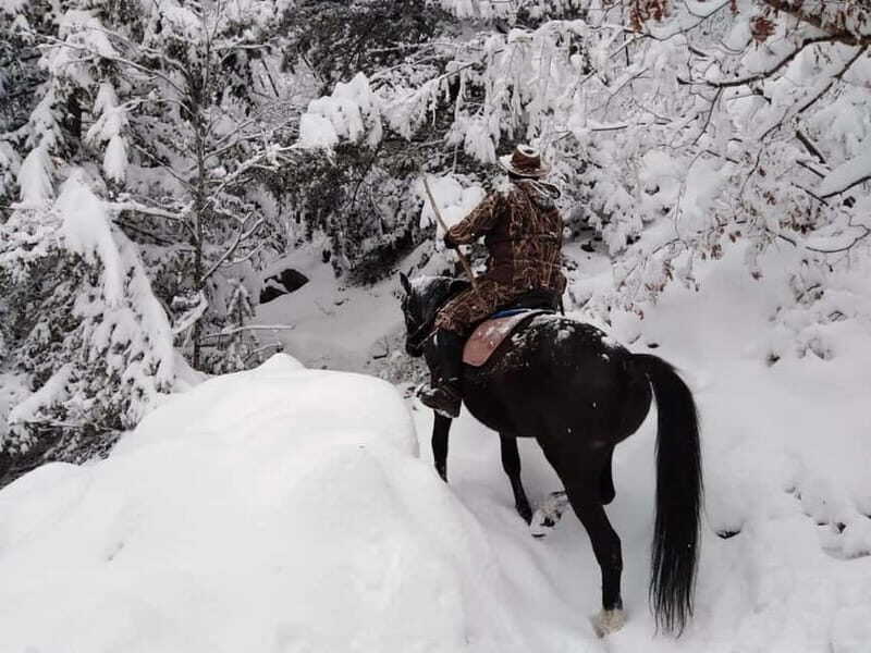 From Smolyan: Waterfalls Canyon Horseback Riding Tour - What to Expect from the Horseback Riding Tour