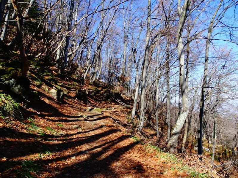 From Sofia: One-Day Tour of Vitosha Mountain - Key Points