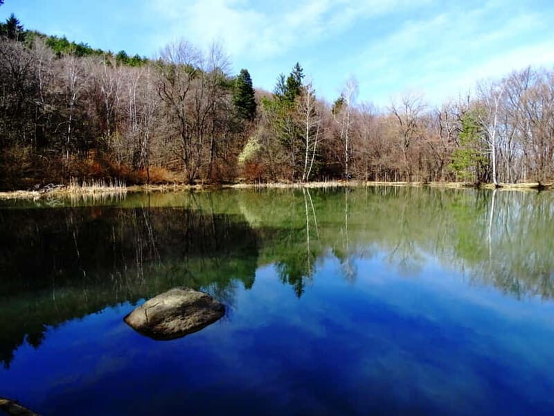 From Sofia: One-Day Tour of Vitosha Mountain - A Closer Look at the Tour Experience