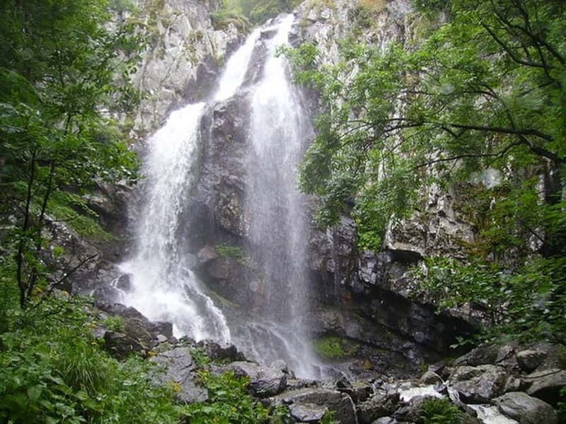 From Sofia: One-Day Tour of Vitosha Mountain - Practical Details and Value