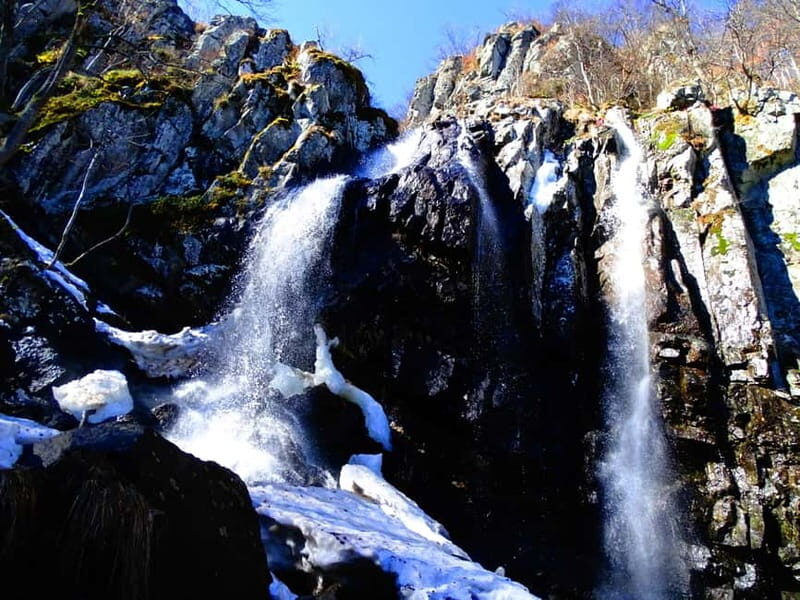 From Sofia: One-Day Tour of Vitosha Mountain - Who Is This Tour Best For?