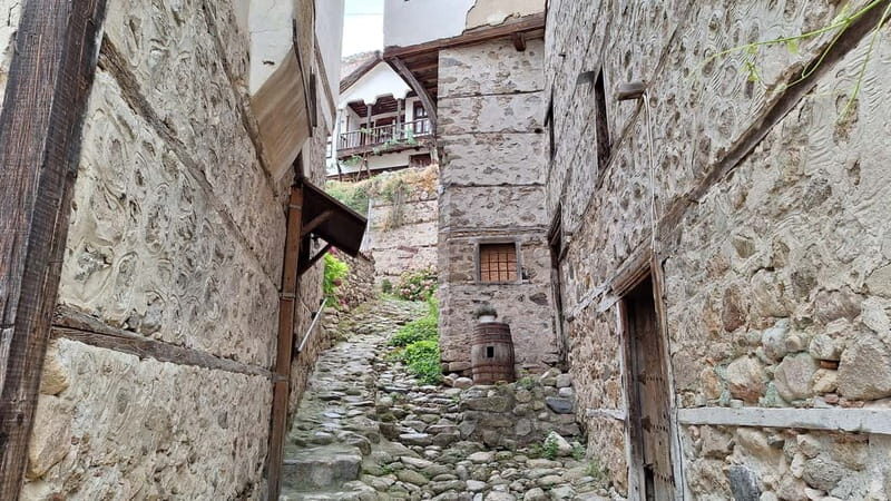 From Sofia: Rila Monastery & Melnik Day Tour - Is It Worth It?