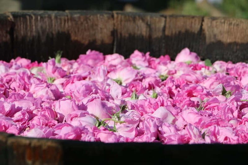 From Sofia: Rose Valley Tour & UNESCO Site Kazanlak - Transportation, Cost, and Practicalities