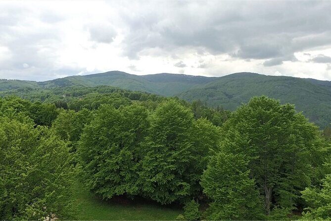 From Sofia: Serbia and Macedonia Trip - Practical Details & Value